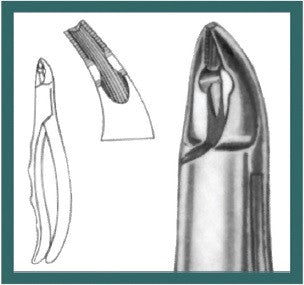 Extraction Forceps, Deciduous Teeth (101 ASP)