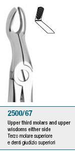 Extraction Forceps, Upper Thirds Molars and Wisdom Teeth, Universal (2
